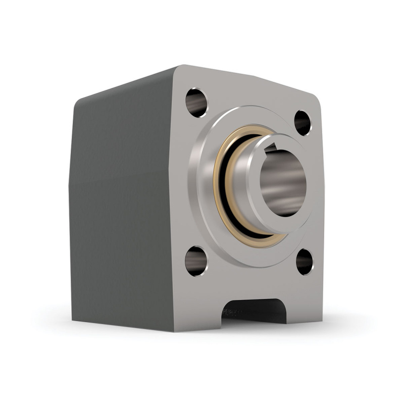 Model 410F Non-SAE Mount Overhung Load Adaptor